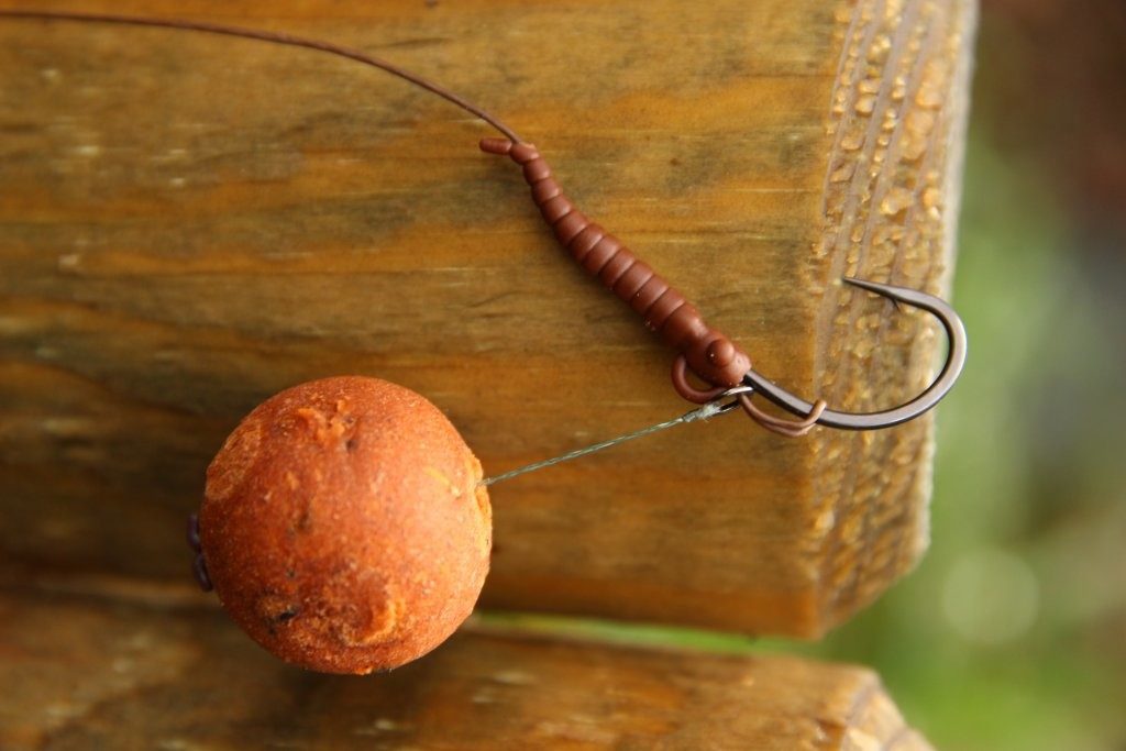 Multi Rig – Carpfishingtime